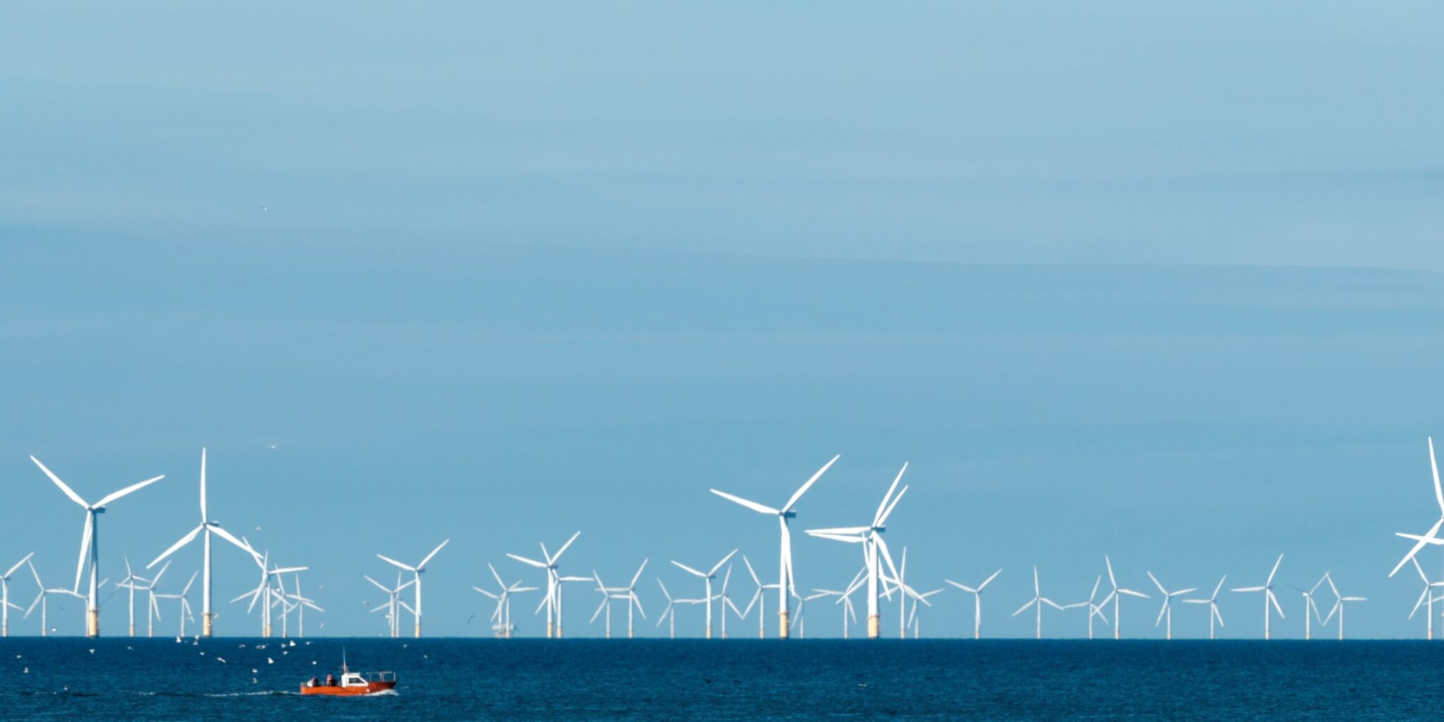 Surge and dynamic stress analysis for an offshore wind farm using ...